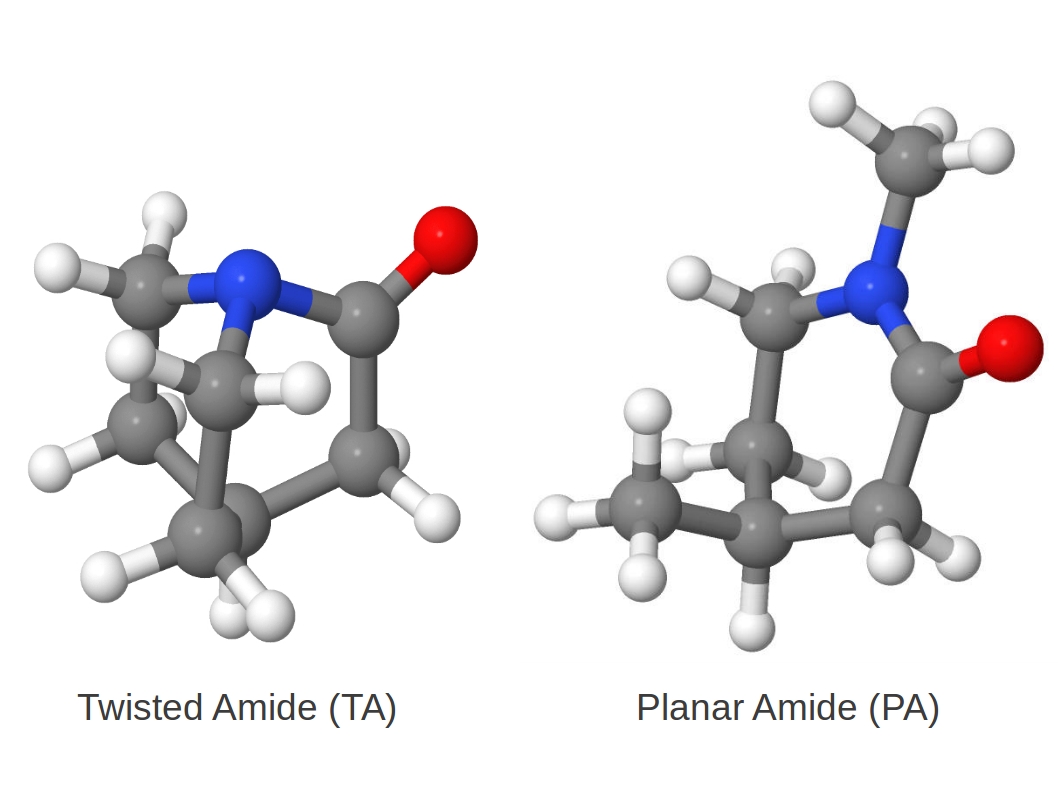 Kimika Teorikoa » Blog Archive » Twisted Amides