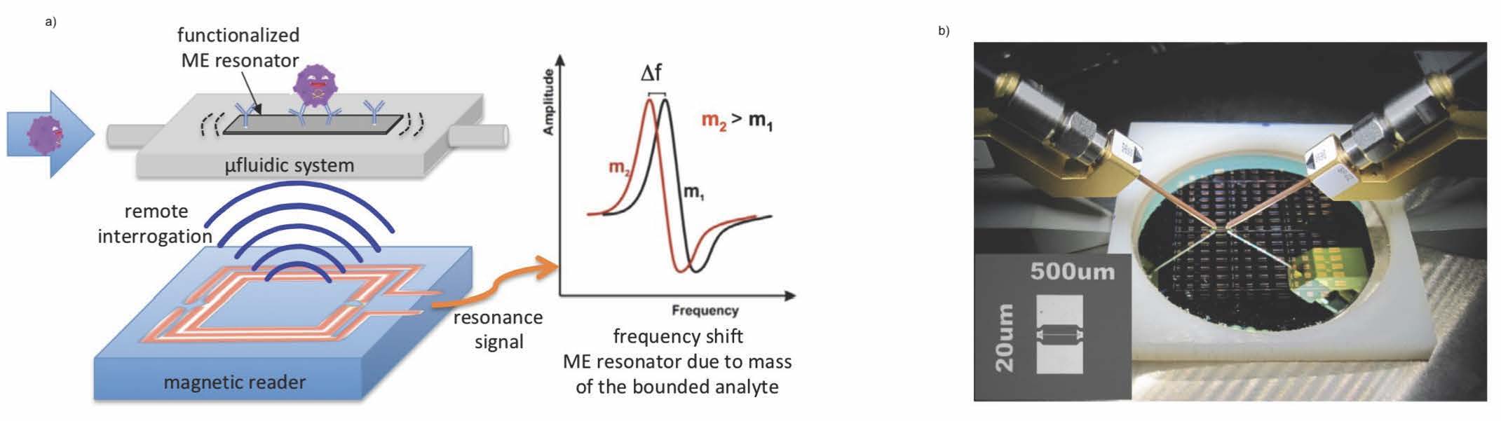 Magnetic Sensors - Magnetism and Magnetic Materials Group (GMMMT) - EHU