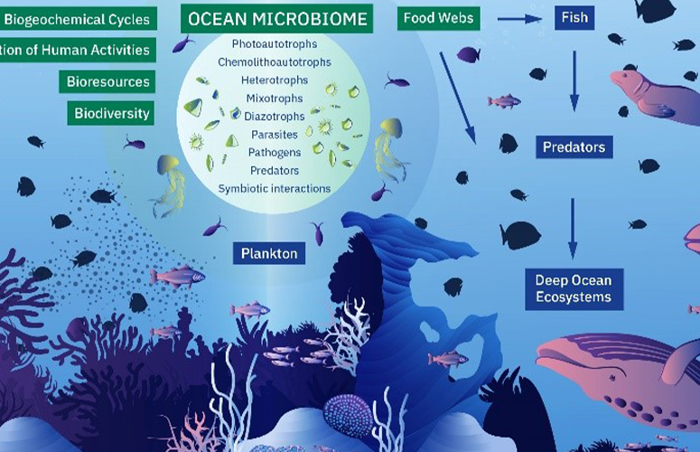 Campusa - campusa-magazine - UPV/EHU