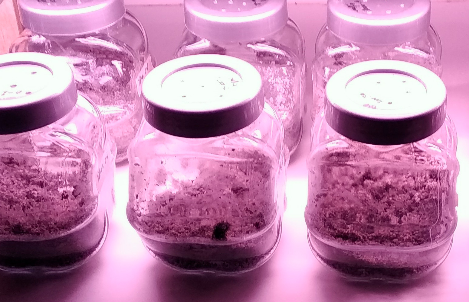 Campusa - campusa-magazine - UPV/EHU