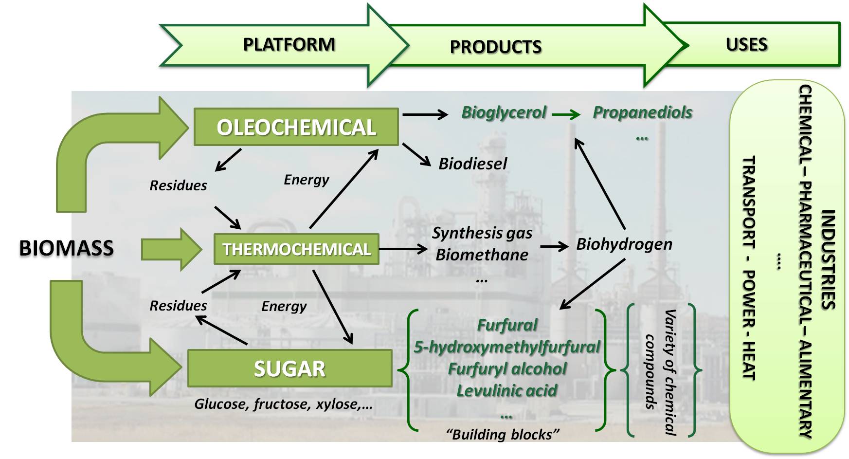 Integrated processes in biorefineries - Supren Research Group - EHU