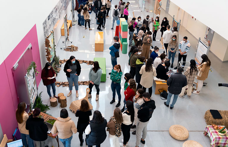 Construyendo puentes entre la Universidad y la escuela - Campusa - EHU