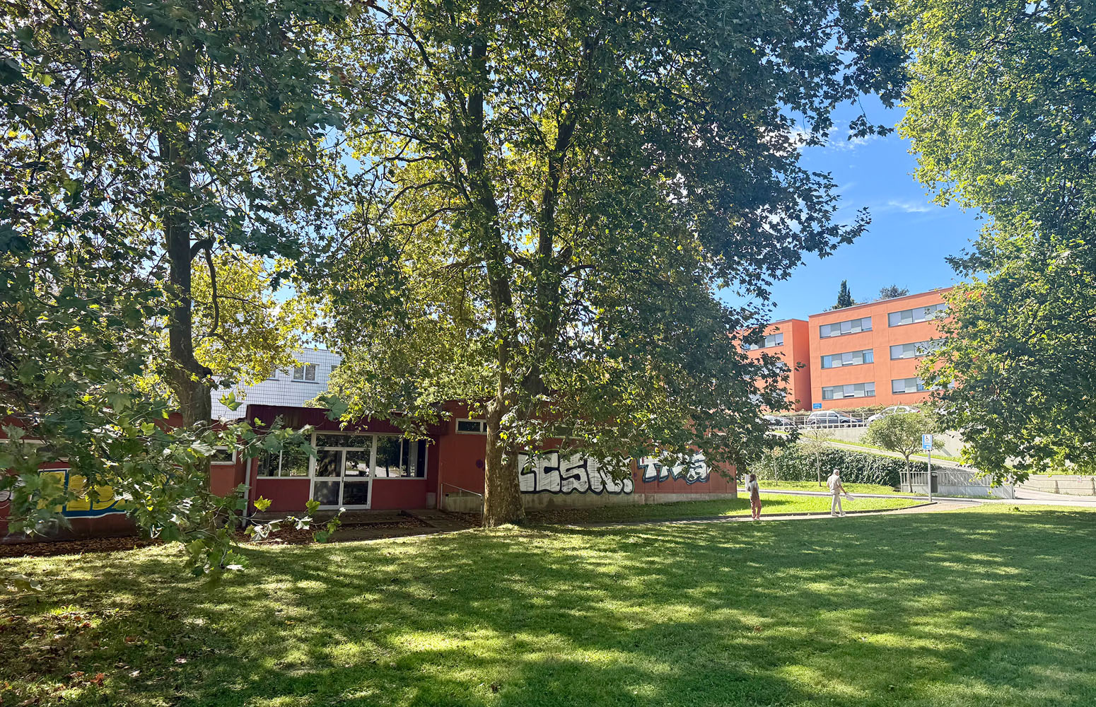 Cursos de Verano de la UPV/EHU, una invitación a explorar nuevas ...