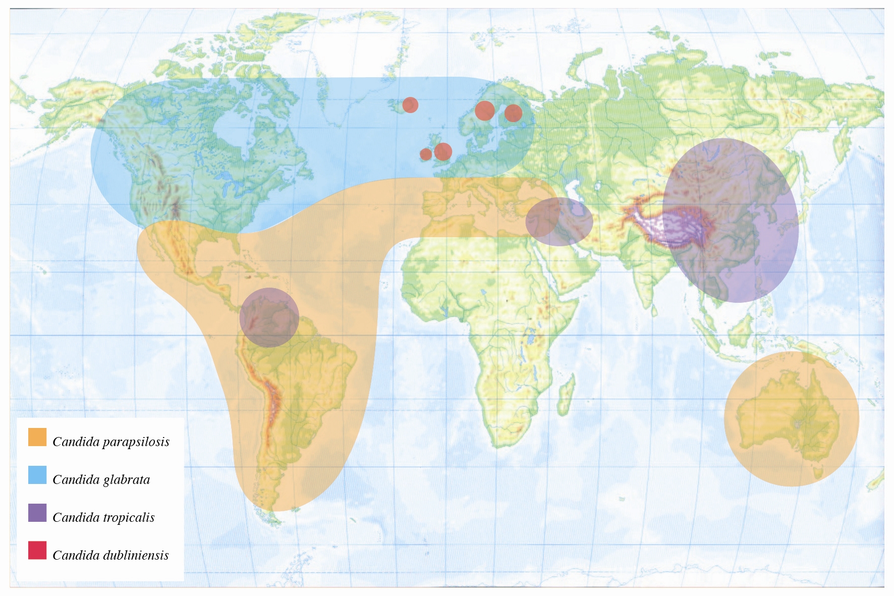 Candidemia: la importancia médica de los cambios en su etiología y ...