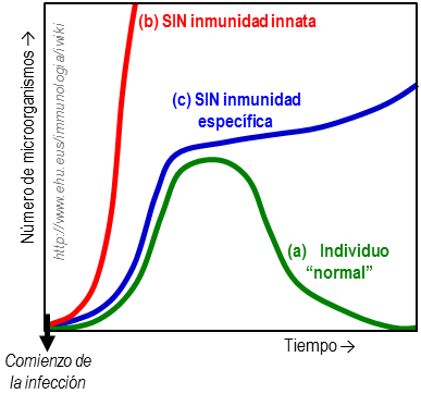 Introducción a la inmunología